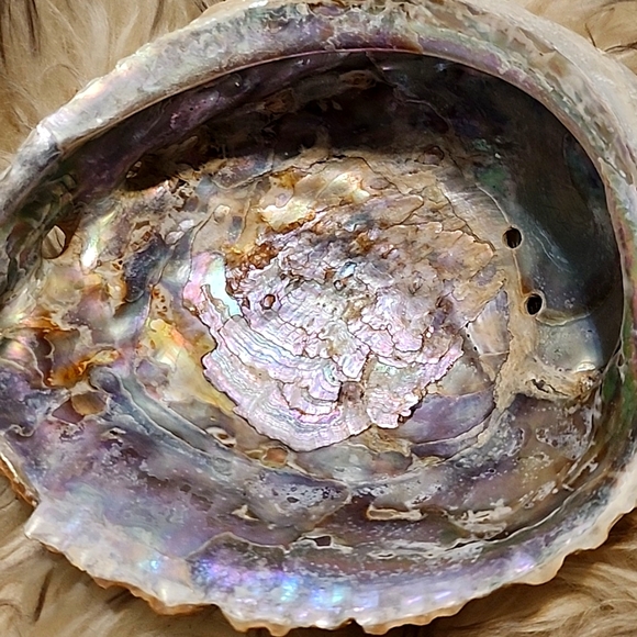 Other | Really Beautiful Mother Of Pearl Natural Shell Purple Blue ...